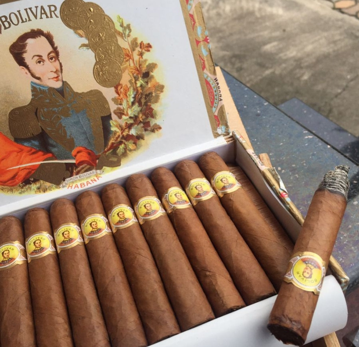 Bolivar Coronas Junior (Single Cigar) - www.cigarsindia.in