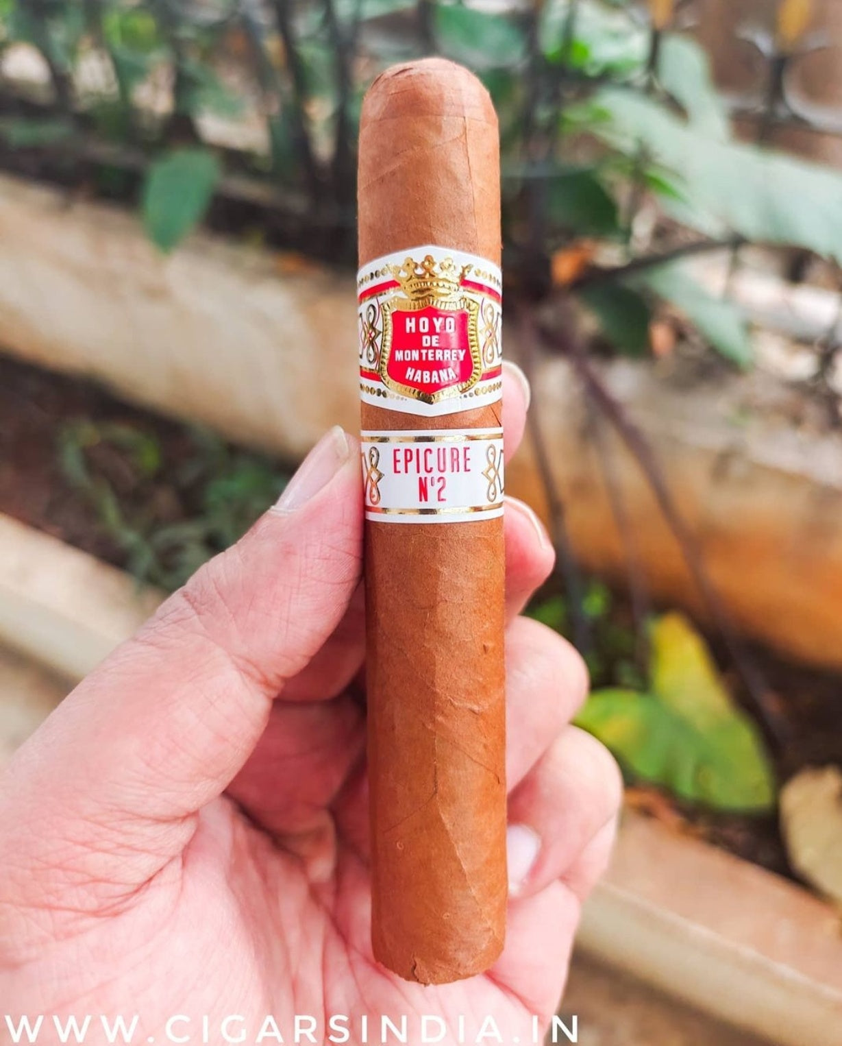 HOYO DE MONTERREY EPICURE NO. 2 (Single Cigar) - www.cigarsindia.in