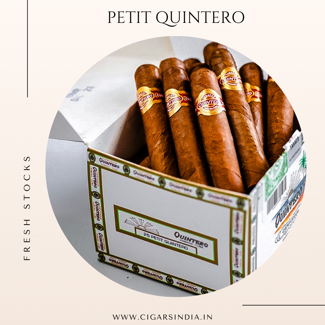 Quintero Petit Quintero (Single Cigar) - www.cigarsindia.in