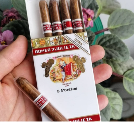 Romeo y Julieta Puritos (Pack of 5) - www.cigarsindia.in