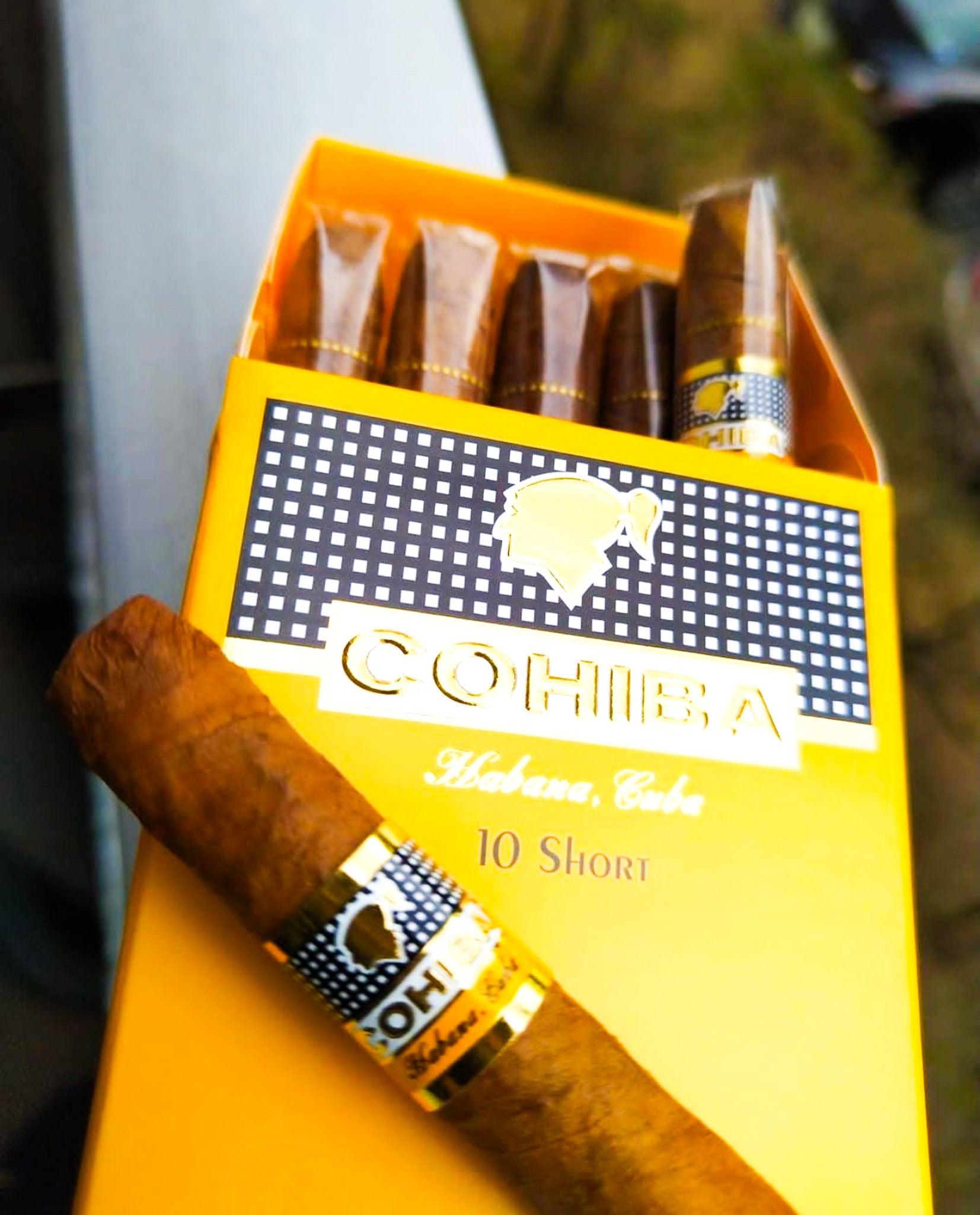 Cohiba Short (Pack of 10) - www.cigarsindia.in