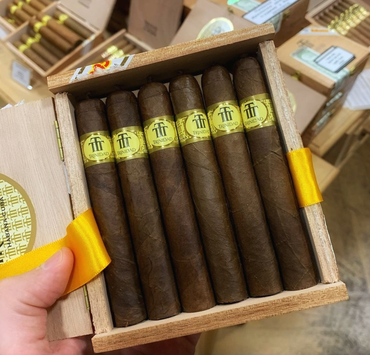 TRINIDAD REYES from TRINIDAD (Single Cigar) - www.cigarsindia.in