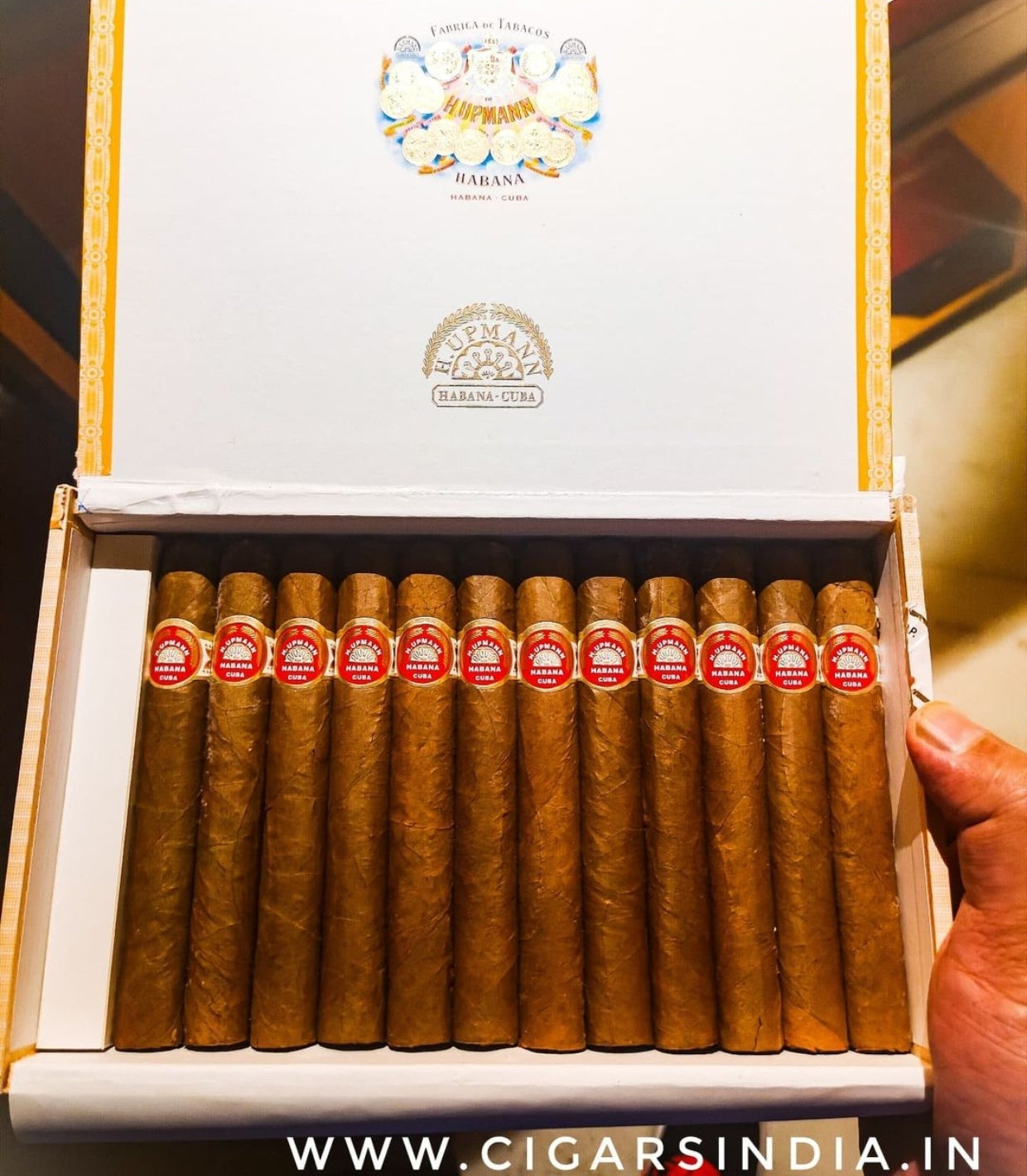 H.Upmann Regalias (Single Cigar) - www.cigarsindia.in