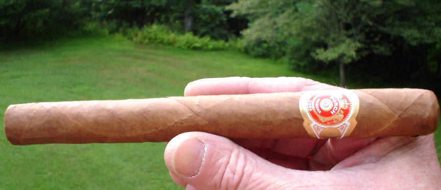 Punch - Double Coronas (Box of 50) - www.cigarsindia.in